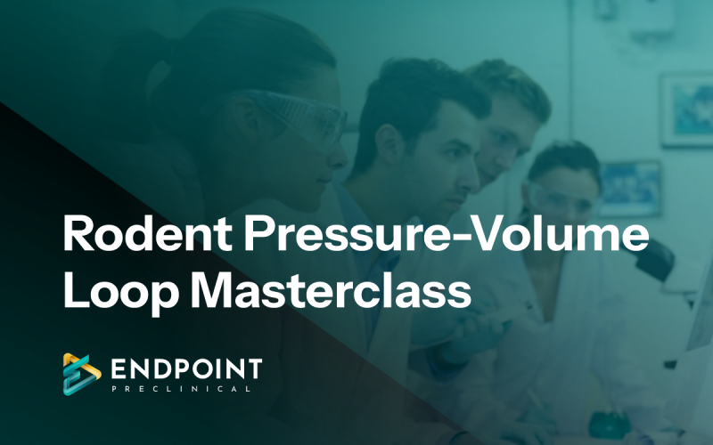 Ventricular PV Loops - Endpoint Preclinical