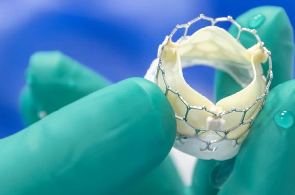 Structural Heart Procedures - Endpoint Preclinical